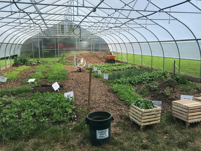 Hoop House – Gardens and Growing Spaces | Kalamazoo College